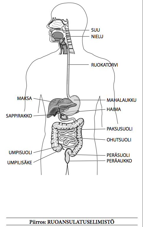 RUOANSULATUSELIMISTÖN TOIMINNALLISET HÄIRIÖT | Terveyssivut